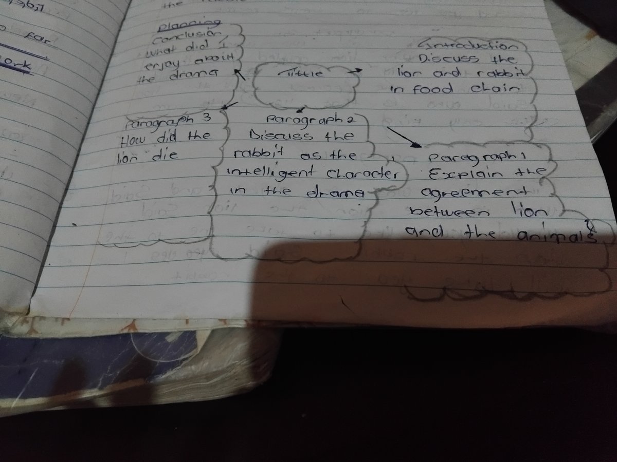 Planning: Conclusion: What did I enjoy about the drama? Title Paragraph