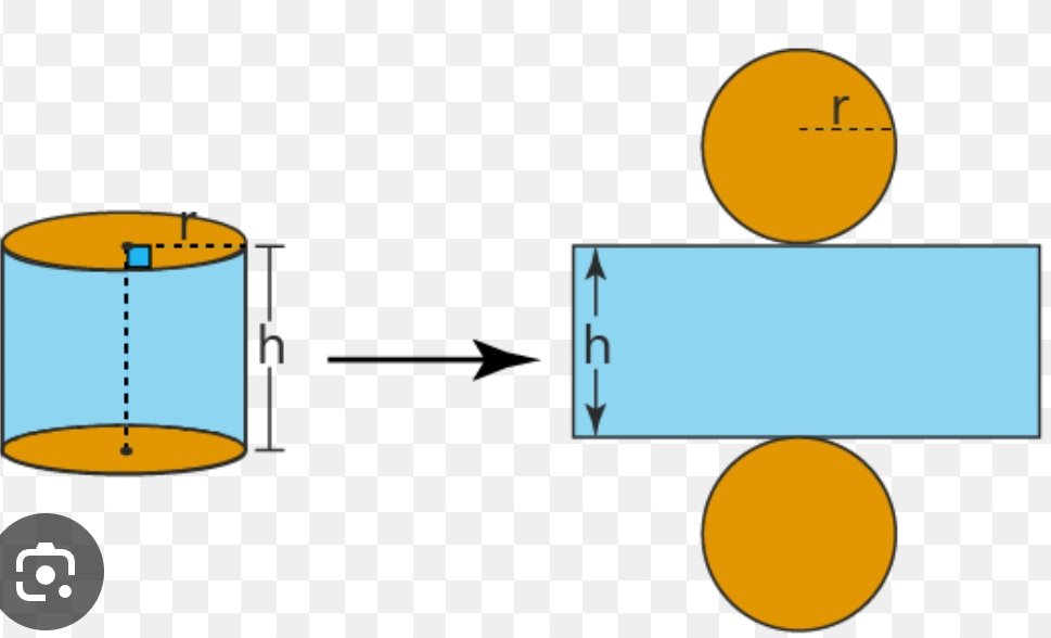 Draw two nets of a cylinder with height 5 cm and radius 2 cm. | Filo