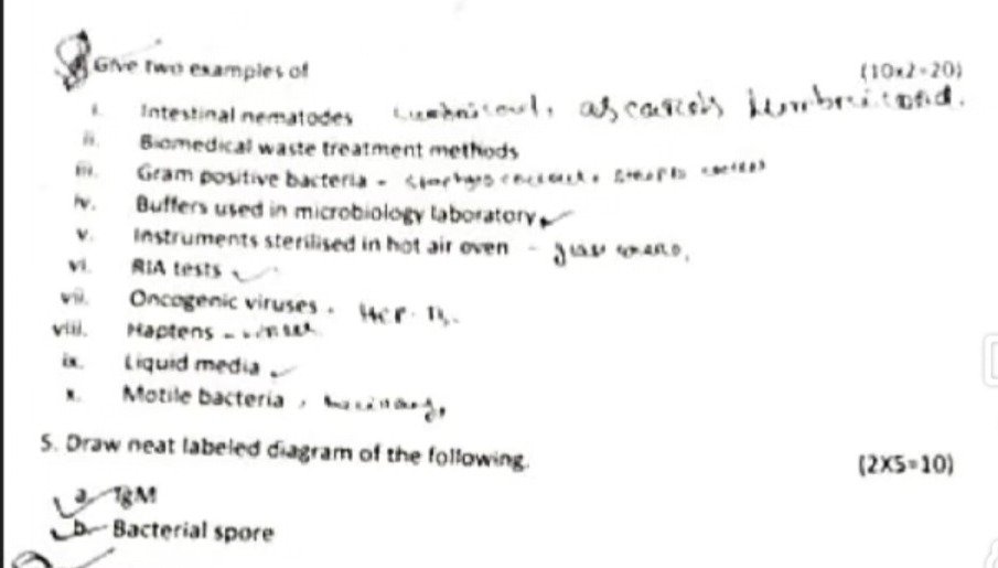 Give two examples of: Intestinal nematodes Biomedical waste treatment me..