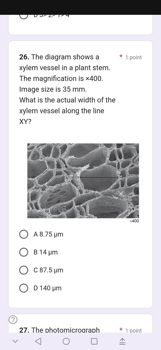 The diagram shows a xylem vessel in a plant stem. The magnification is ×4..
