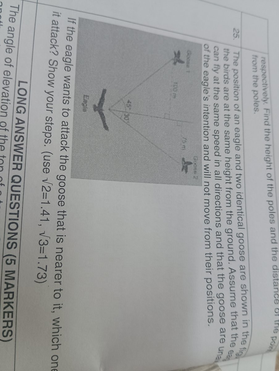 The position of an eagle and two identical geese are shown in the figure...