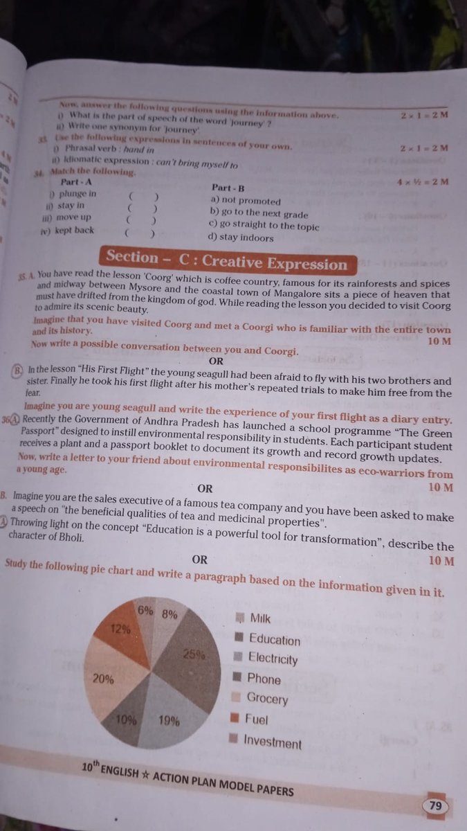 Study the following pie chart and write a paragraph based on the informat..