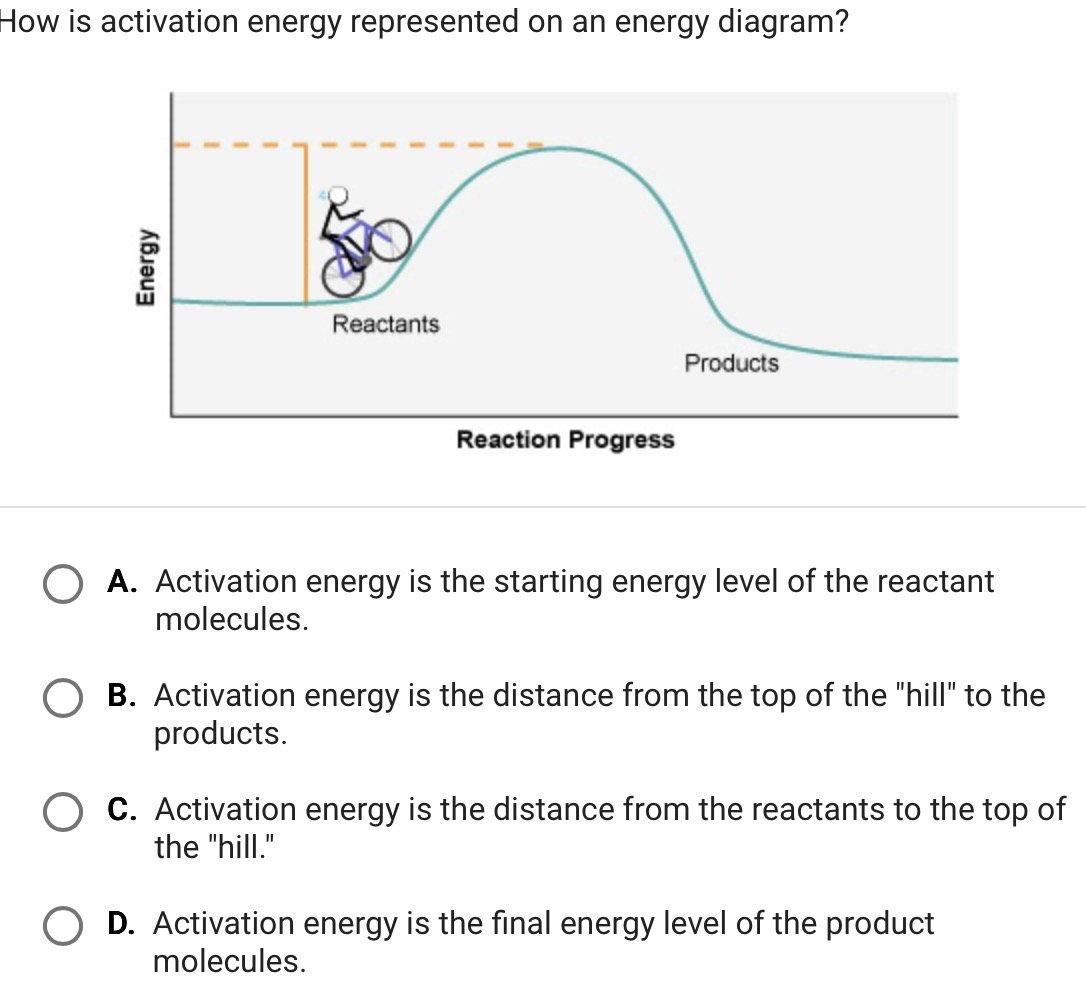 How is activation energy represented on an energy diagram? A. Activation..