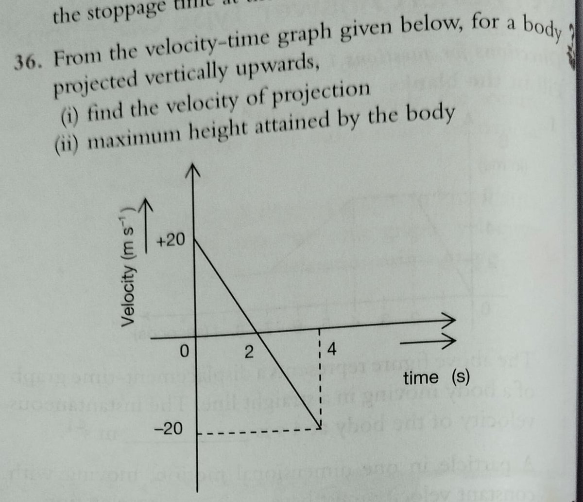 From the velocity-time graph given below, for a body projected vertically..