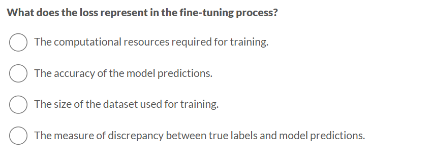 What does the loss represent in the fine-tuning process? The computation..