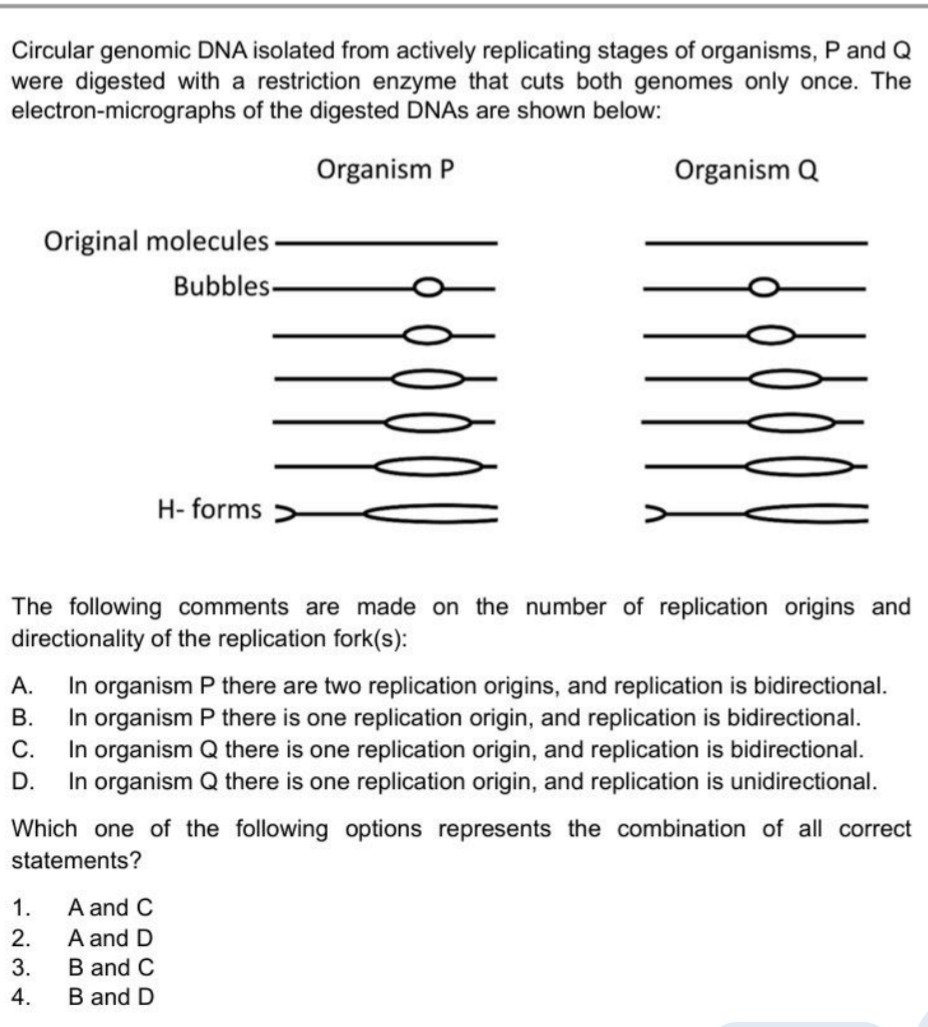 Circular genomic DNA isolated from actively replicating stages of organis..