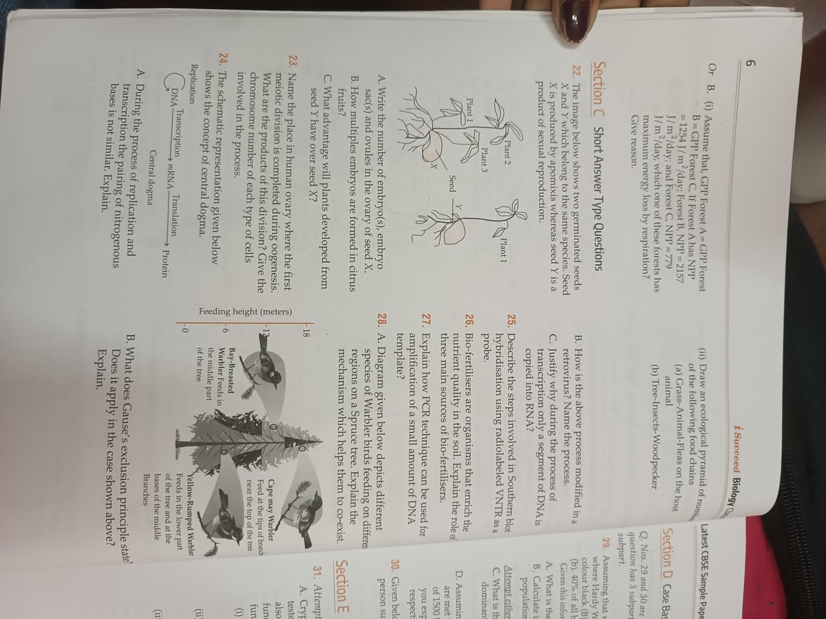 6 Or B. (i) Assume that, GPP Forest A = GPP Forest B=GPP Forest C, If For..