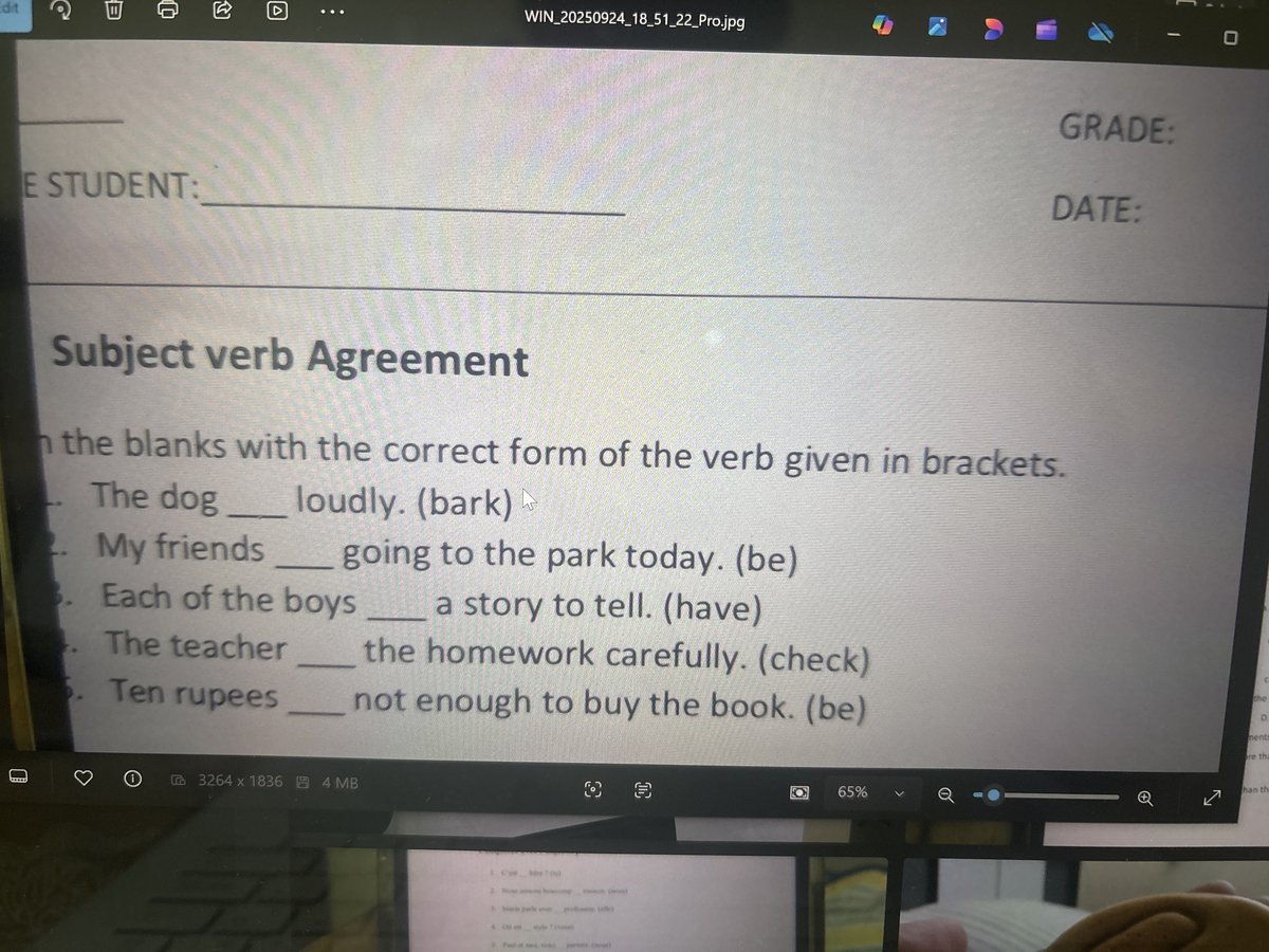 Fill in the blanks with the correct form of the verb given in brackets.