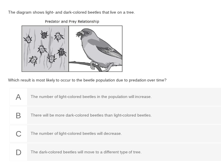 The diagram shows light- and dark-colored beetles that live on a tree.