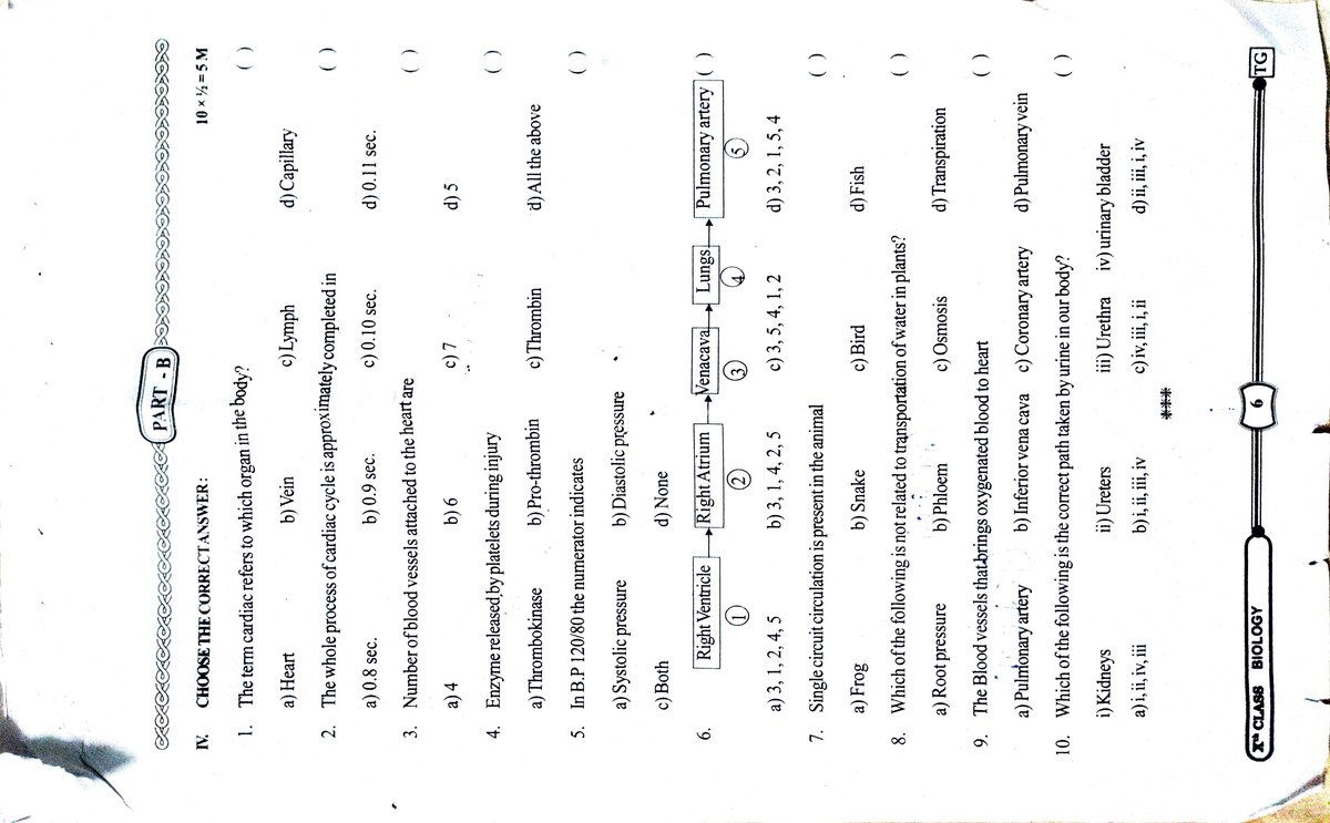 IV. CHOOSE THE CORRECT ANSWER: The term cardiac refers to which organ in..