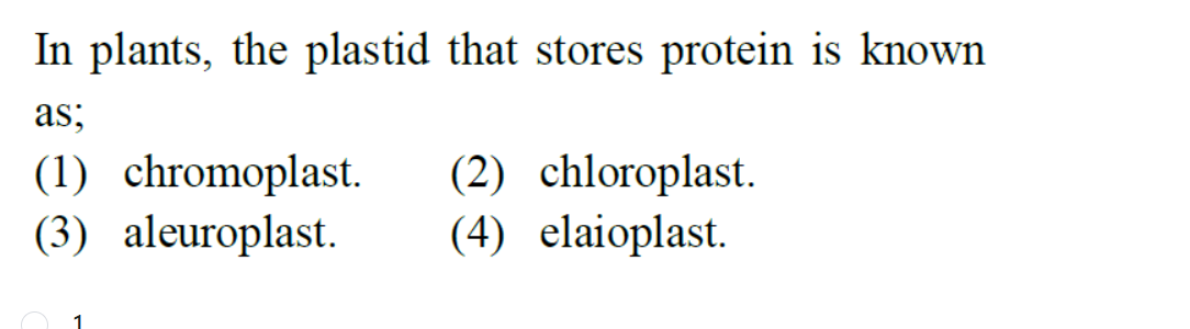 In plants, the plastid that stores protein is known as; (1) chromoplast.
