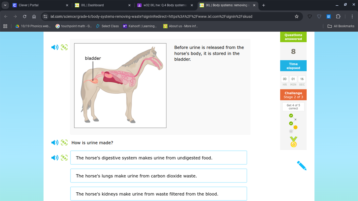 How is urine made? The horse's digestive system makes urine from undiges..