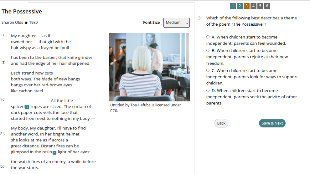Which of the following best describes a theme of the poem "The Possessive..
