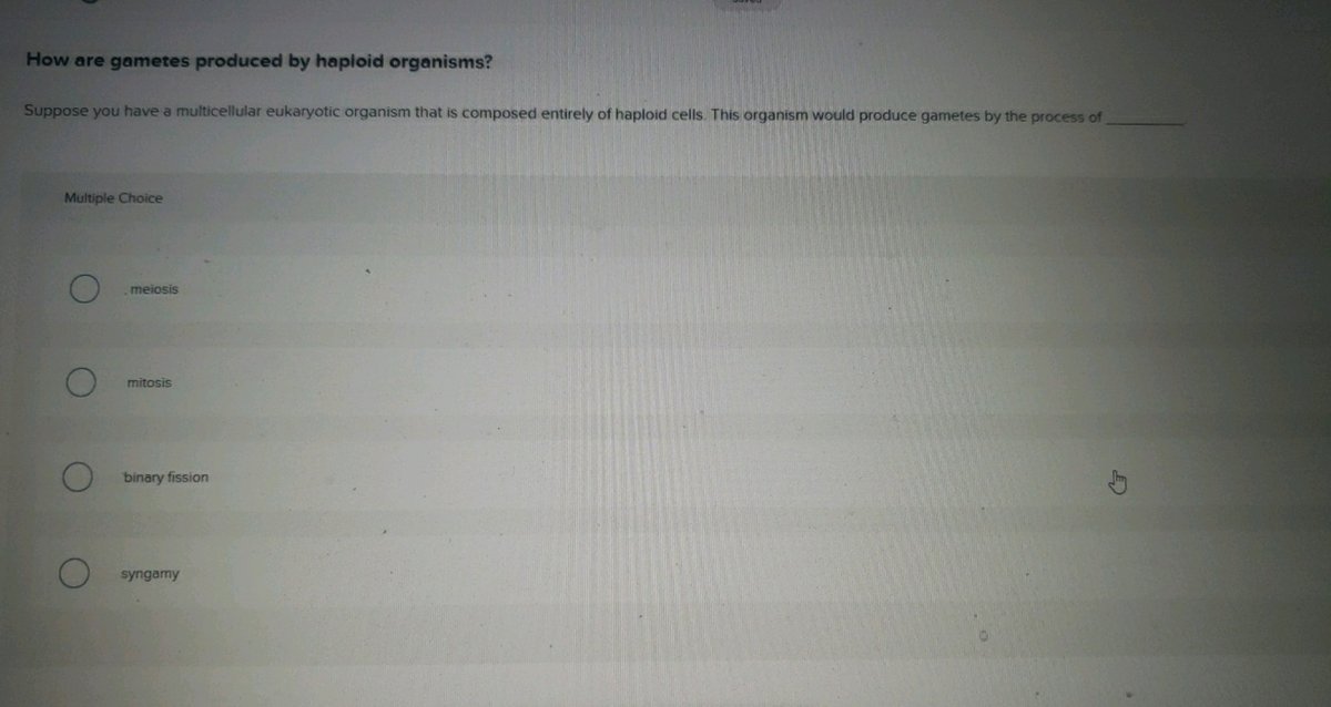 How are gametes produced by haploid organisms? Suppose you have a multic..