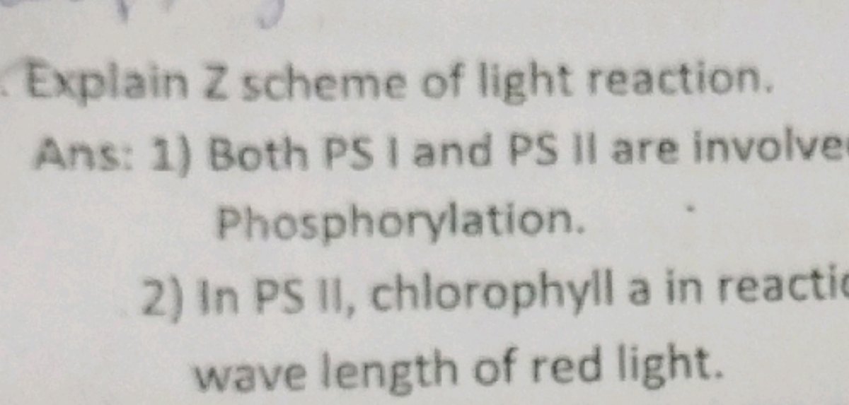 Explain Z scheme of light reaction. Ans: 1) Both PSI and PS II are involv..