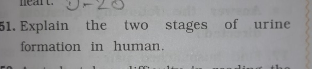 Explain the two stages of urine formation in human. | Filo