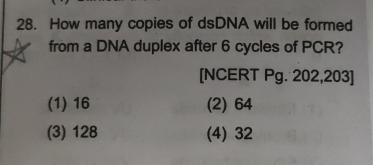 How many copies of dsDNA will be formed from a DNA duplex after 6 cycles