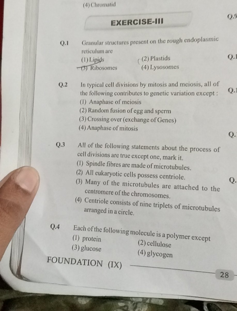 Q.1 Granular structures present on the rough endoplasmic reticulum are (1..