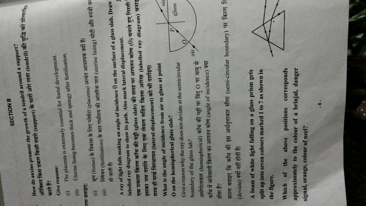 SECTION B How do auxins promote the growth of a tendril around a support..