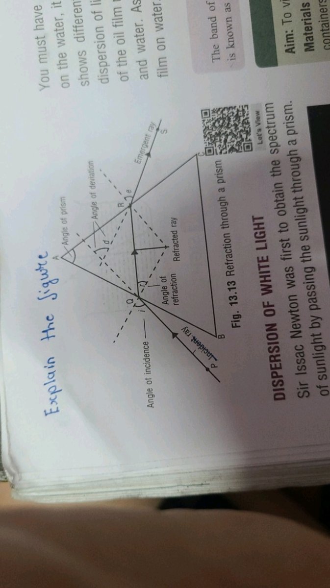 Explain the figure. | Filo