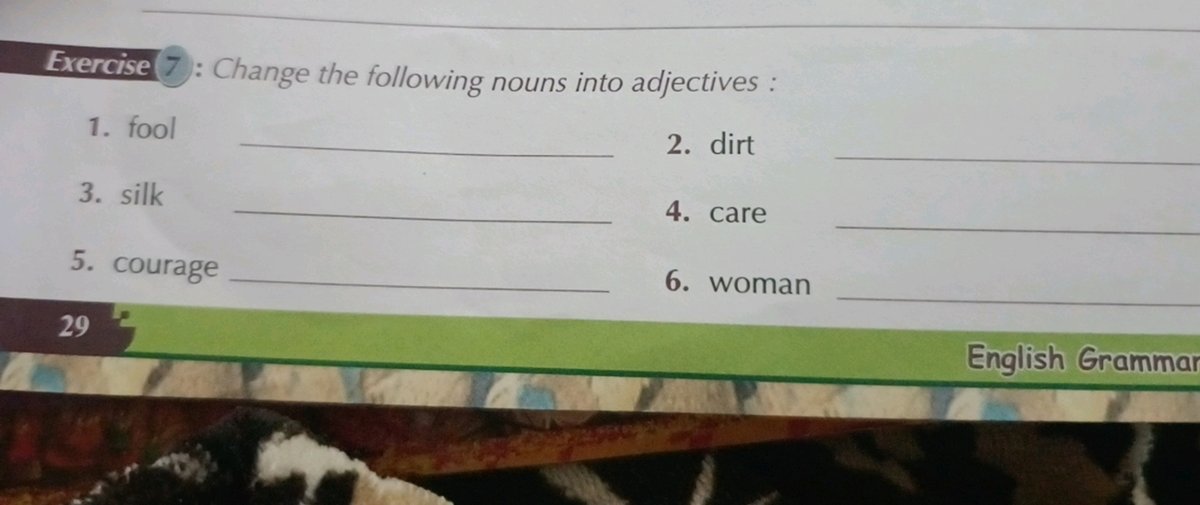 Exercise 7: Change the following nouns into adjectives : fool dirt silk c..