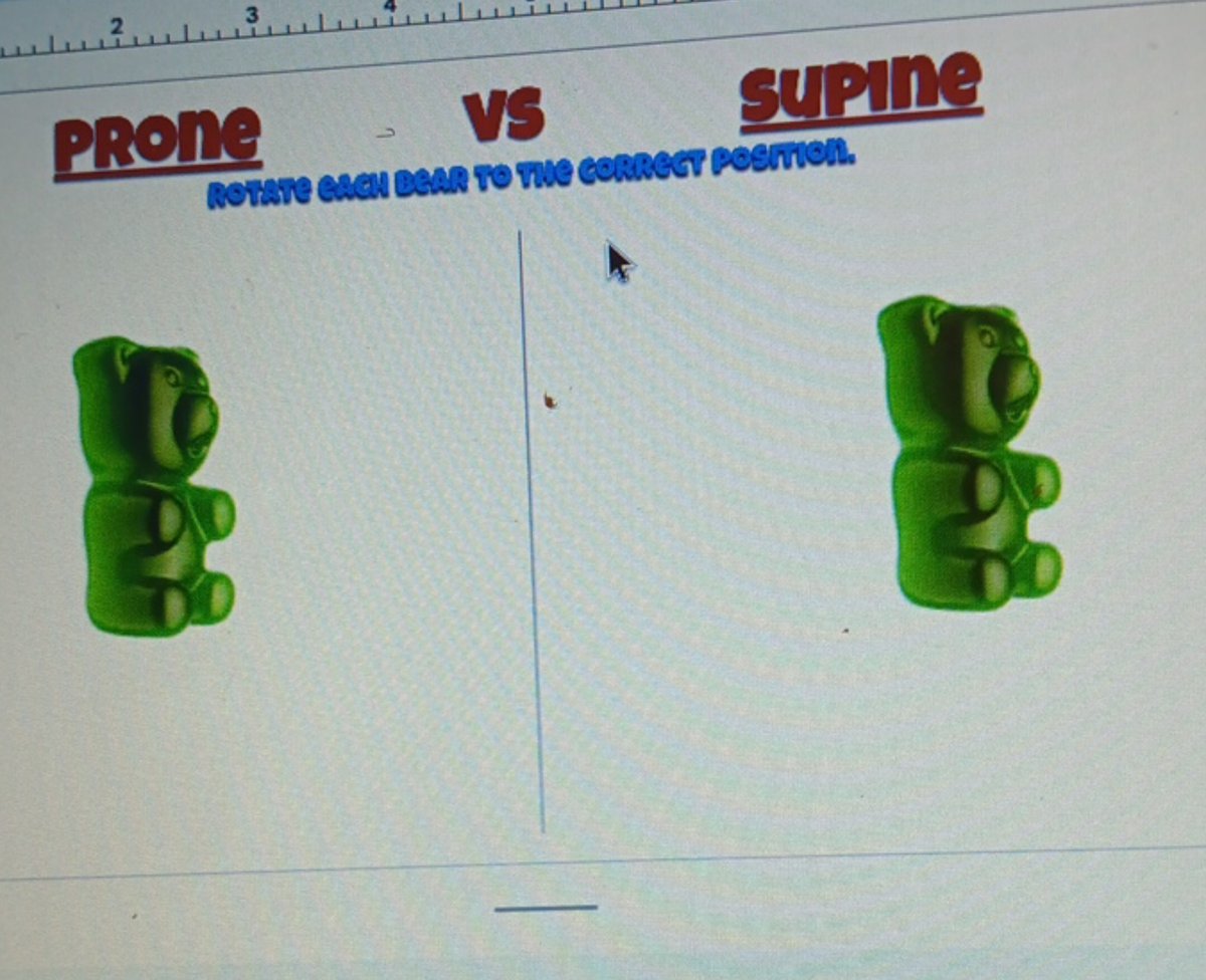 23 PROne VS Supine ROTATE CACH BEAR TO THE CORRECT POSITION. | Filo