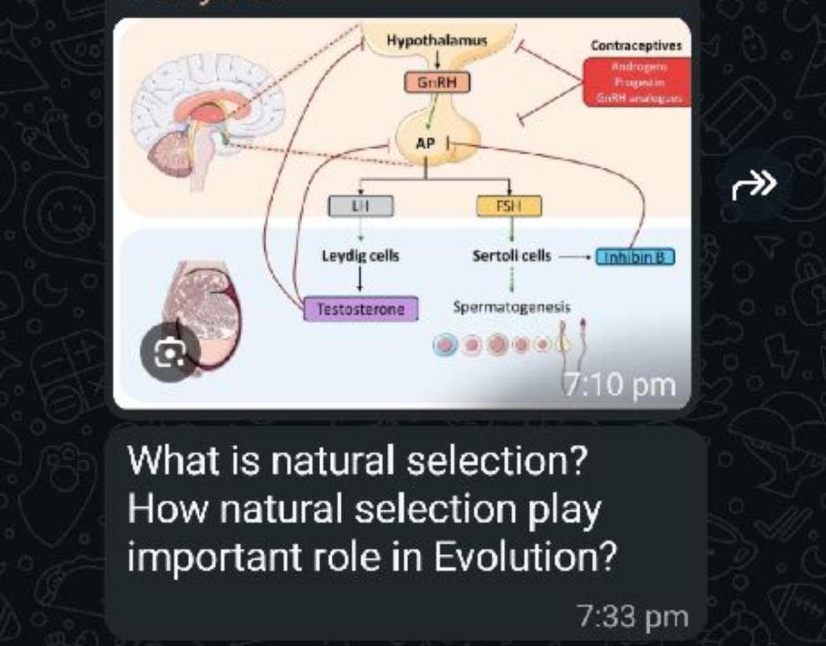 What is natural selection? How does natural selection play an important r..