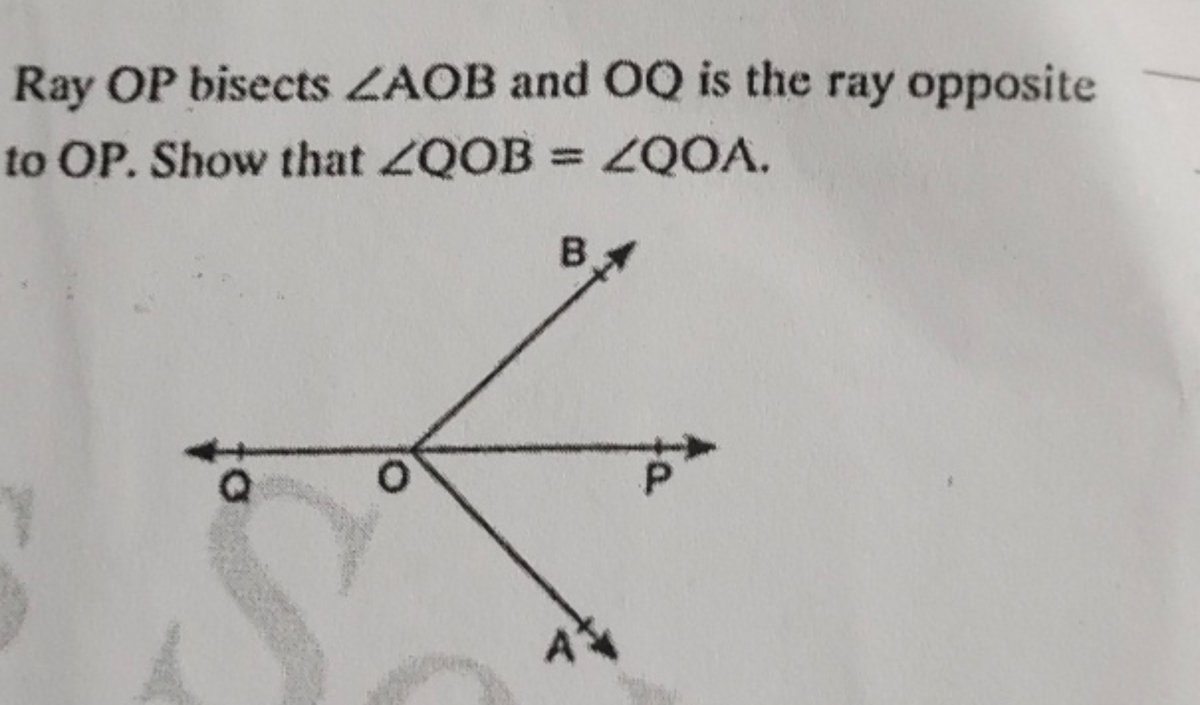 Ray OP bisects \angle A O B and O Q is the ray opposite to OP . Show that..
