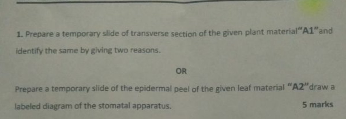 Prepare a temporary slide of transverse section of the given plant materi..