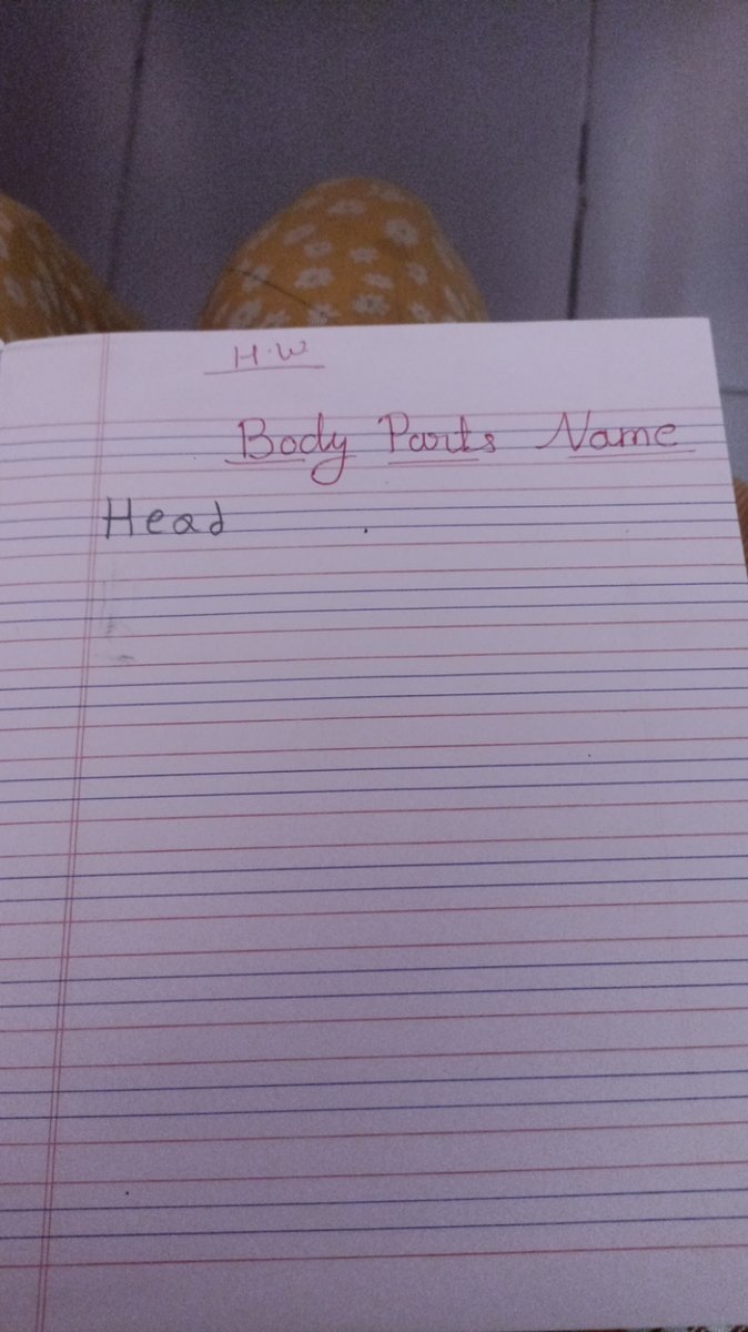 HW Body Parts Name Head | Filo