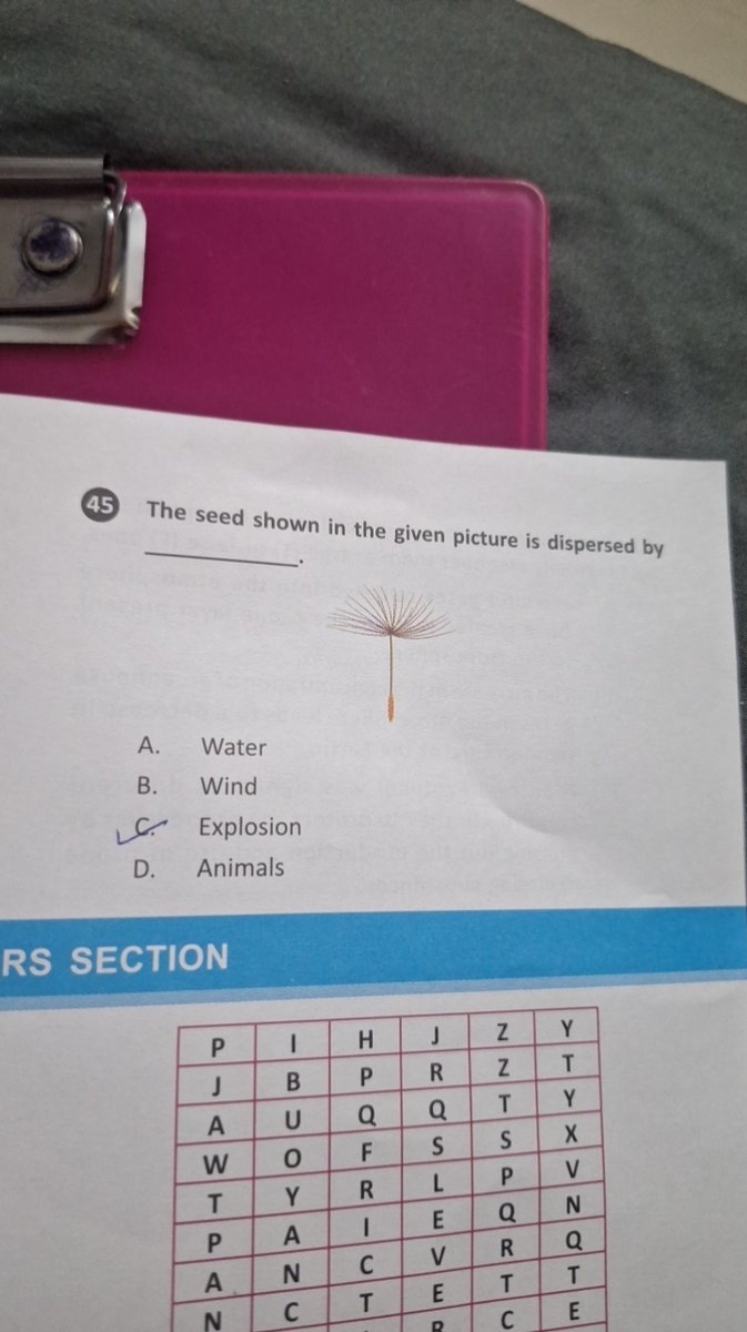 The seed shown in the given picture is dispersed by A. Water B. Wind C. E..