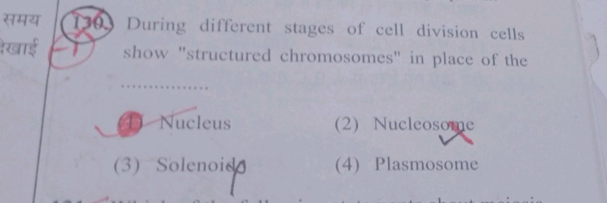 During different stages of cell division cells show "structured chromosom..