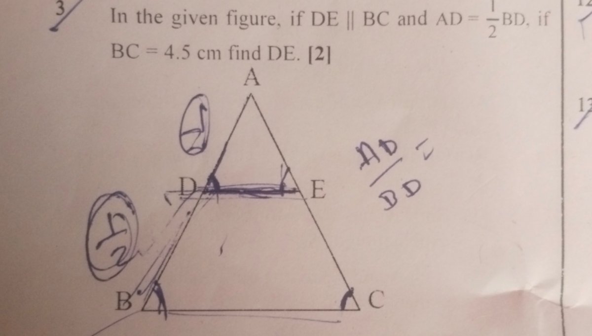 In the given figure, if \mathrm { DE } \| \mathrm { BC } and \mathrm { AD..