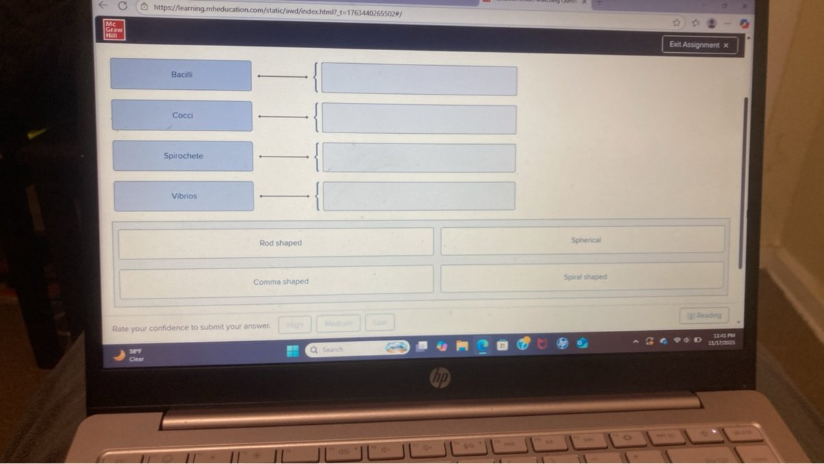 Match the following bacterial shapes: Bacterial Shapes: Bacilli Cocci Sp..