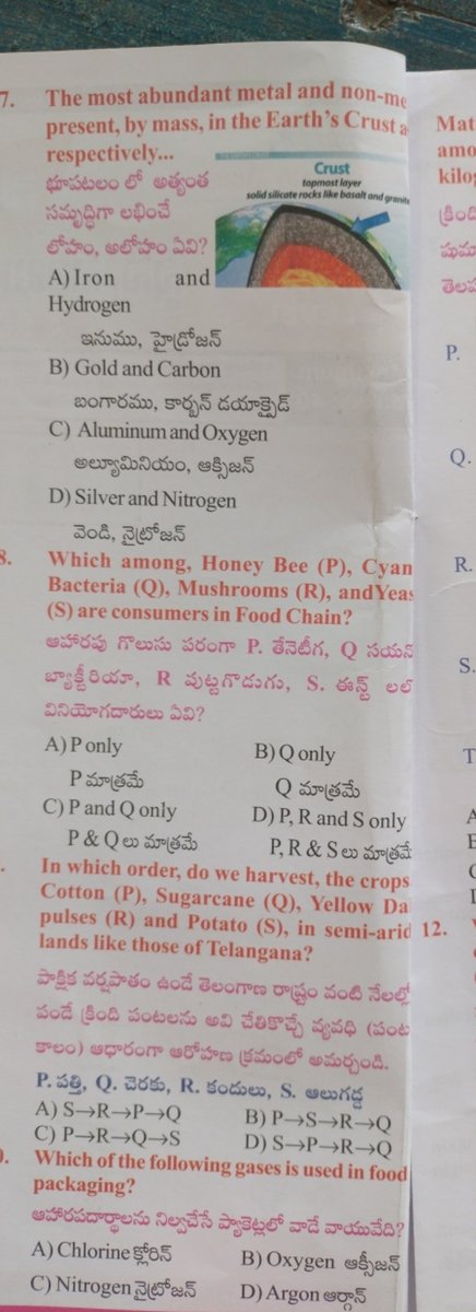 Which among, Honey Bee (P), Cyan Bacteria (Q), Mushrooms (R), and Yeast