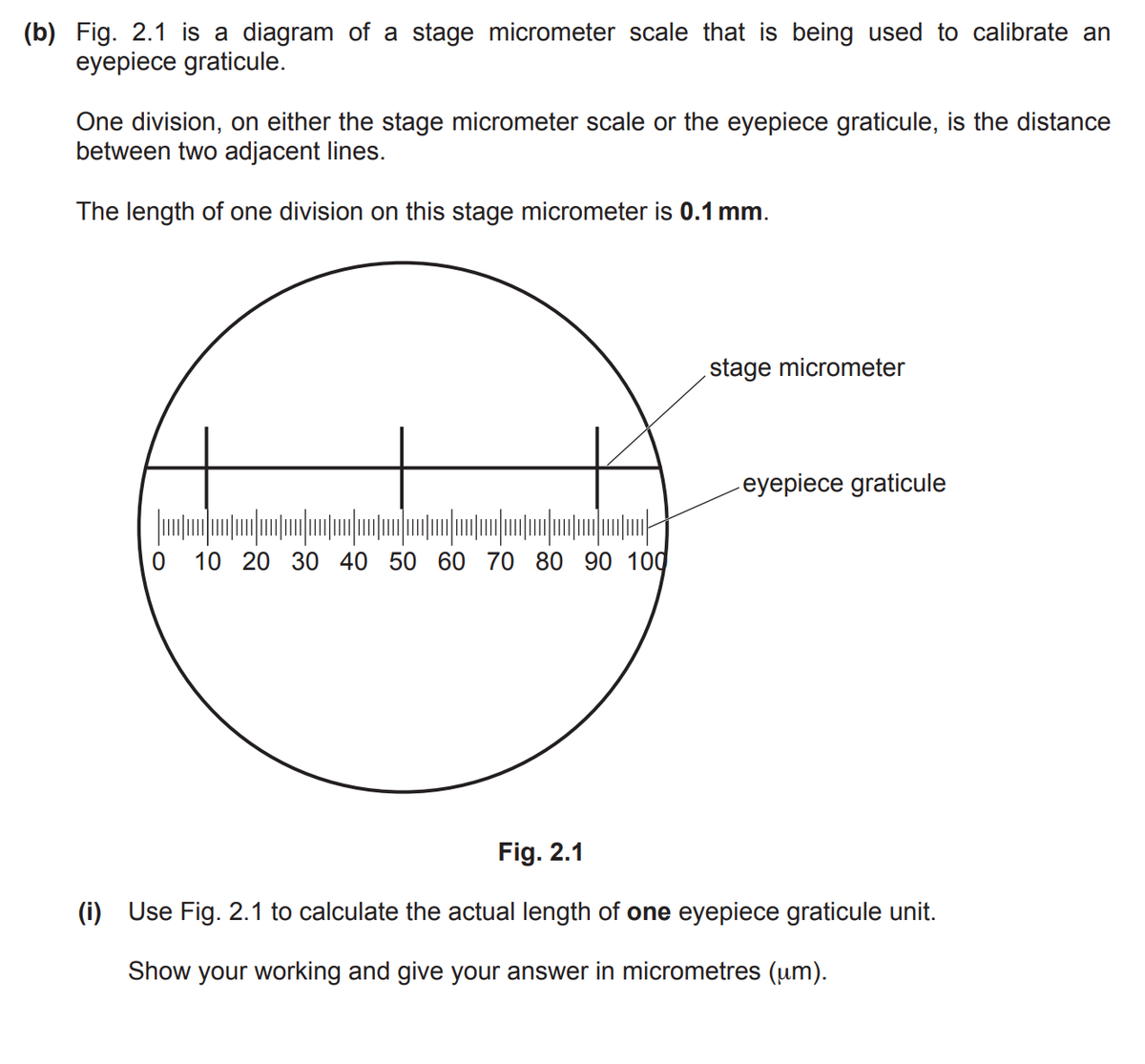 (b) Fig. 2.1 is a diagram of a stage micrometer scale that is being used
