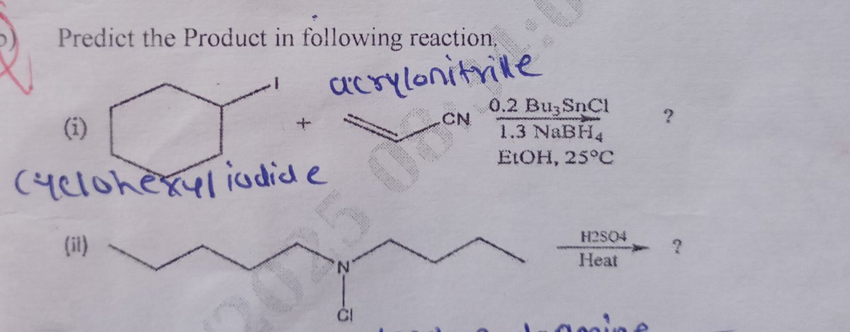 Predict the Product in following reaction: (i) Cyclohexyl iodide + Acryl..