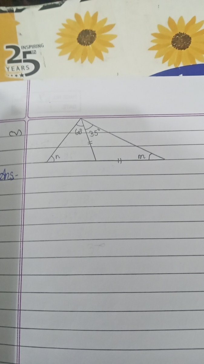 The image shows a triangle with some angles and sides marked. There is a