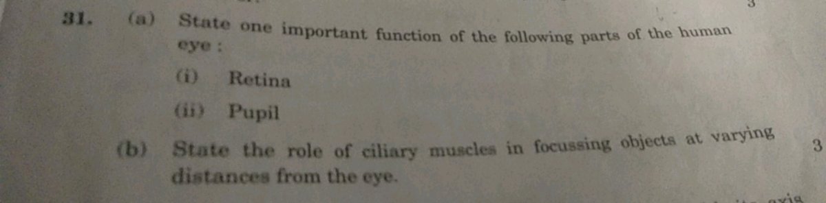 (a) State one important function of the following parts of the human eye