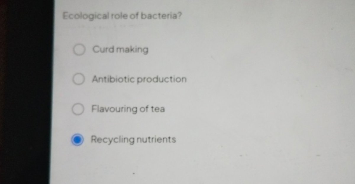Ecological role of bacteria? A. Curd making B. Antibiotic production C.