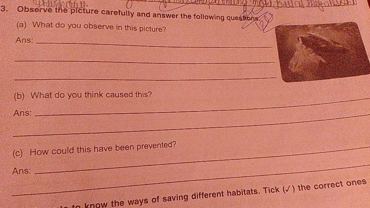 Observe the picture carefully and answer the following questions. (a) Wh..