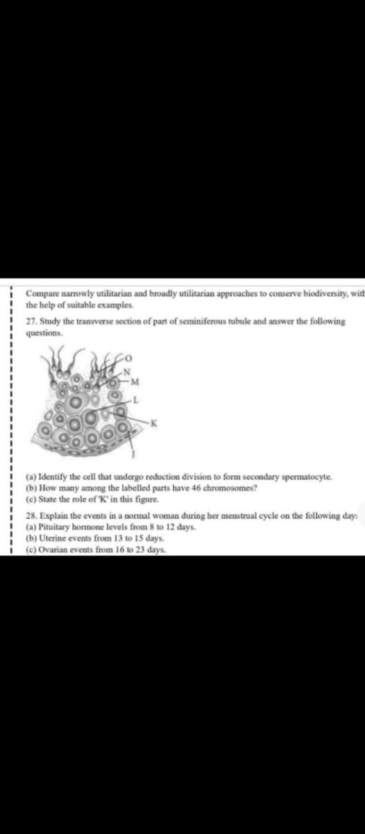 Compare narrowly utilitarian and broadly utilitarian approaches to conser..