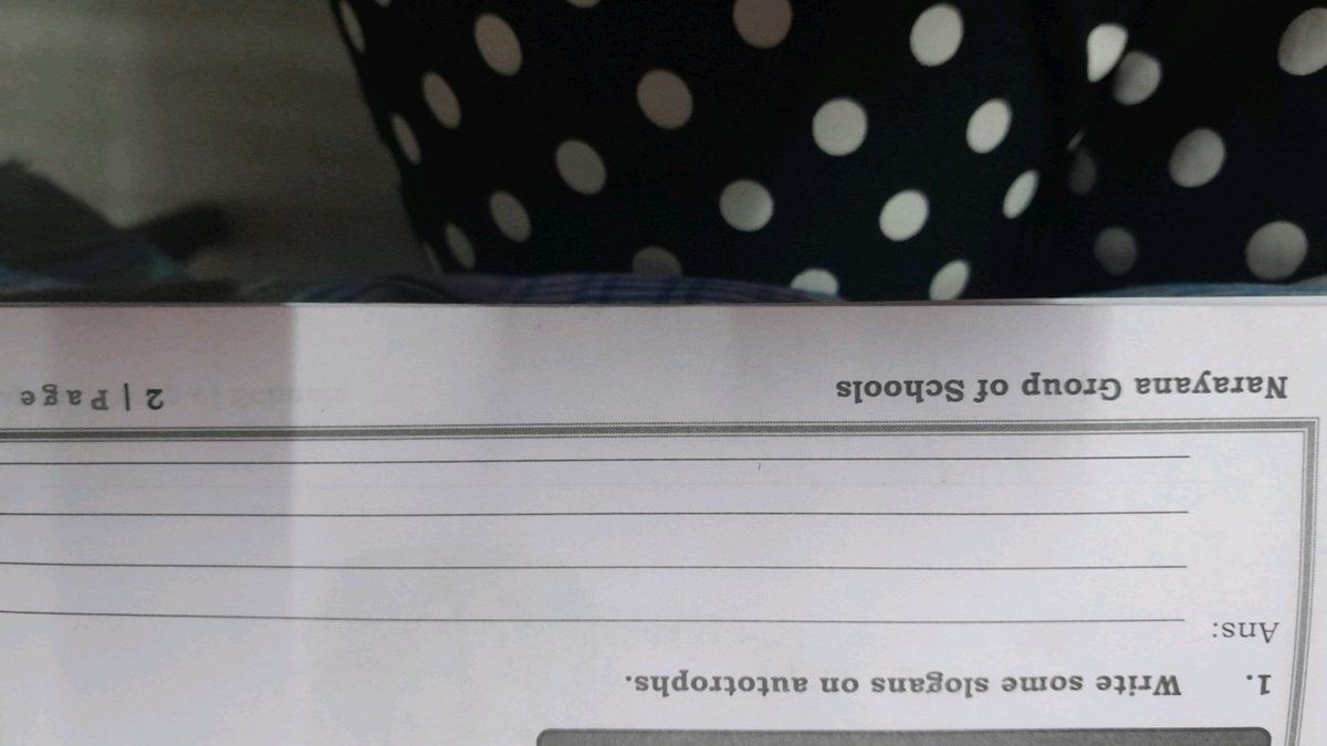 Write some slogans on autotrophs. | Filo