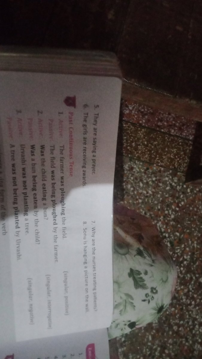 Here are some questions related to Past Continuous Tense, Active and Pass..