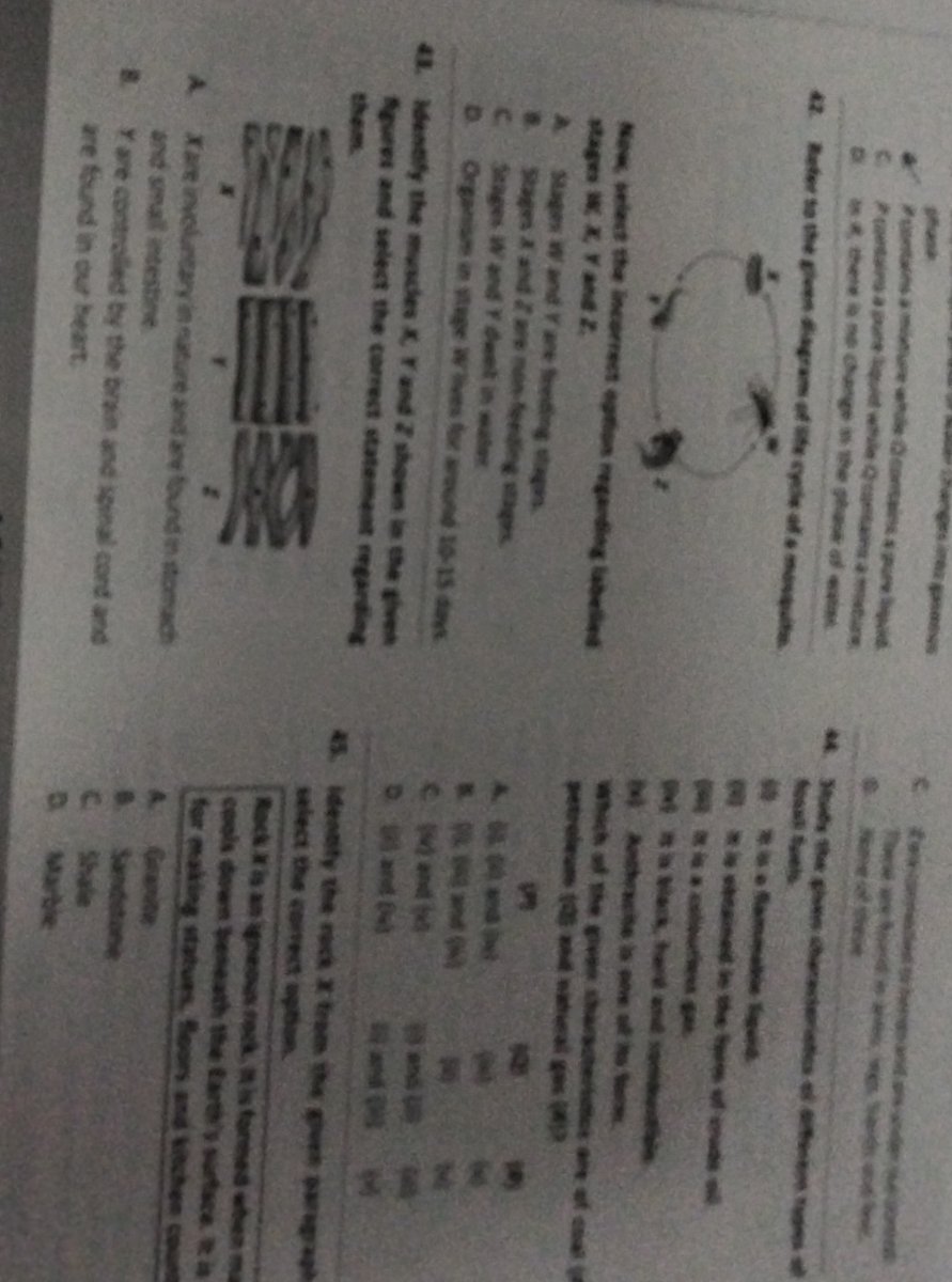 Refer to the given diagram of life cycle of a mosquito. Now, select the