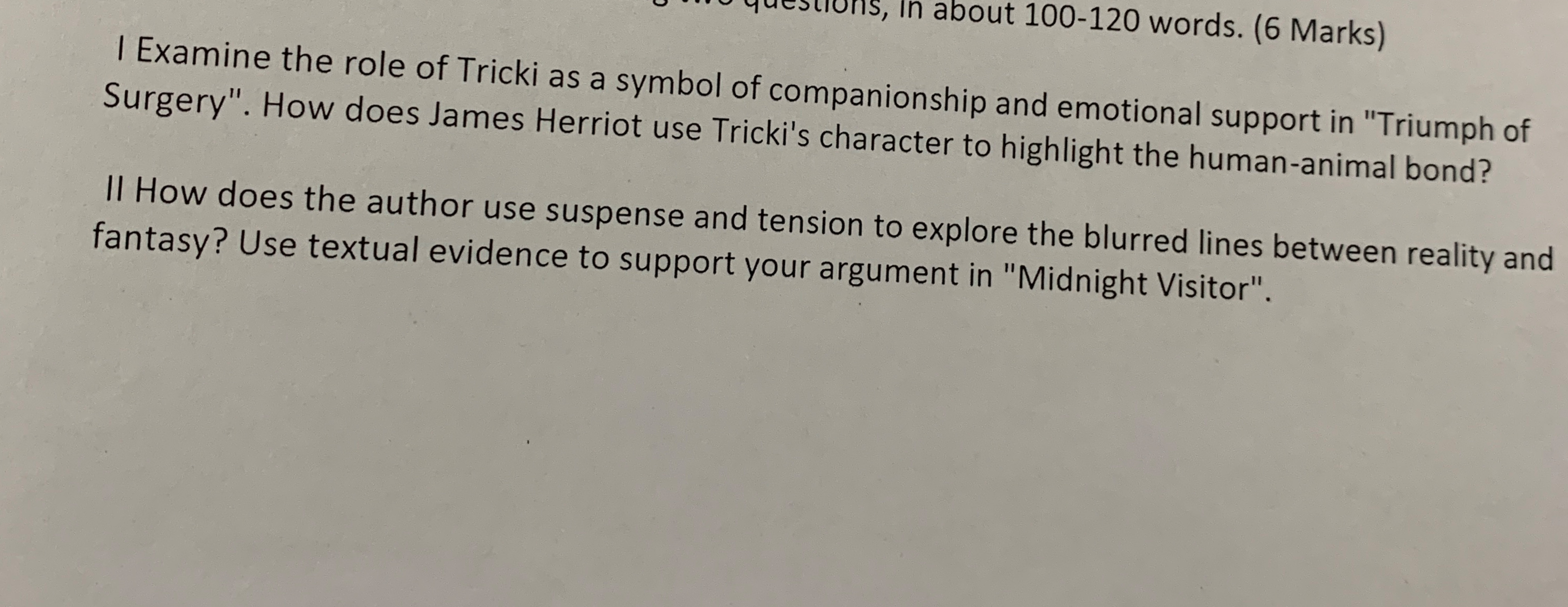I Examine the role of Tricki as a symbol of companionship and emotional s..