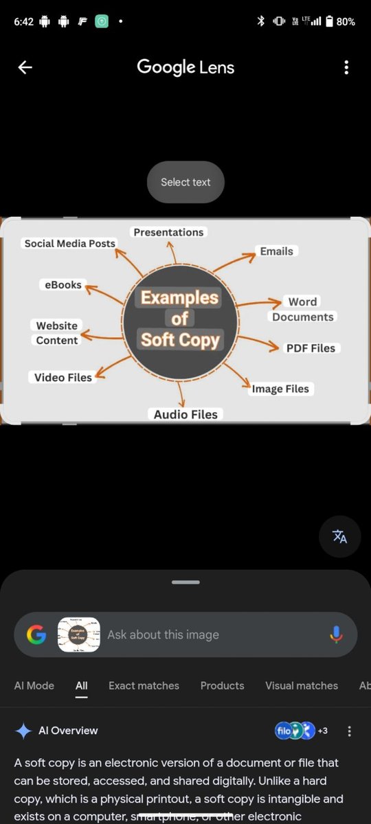 The image shows a diagram titled "Examples of Soft Copy" with arrows poin..