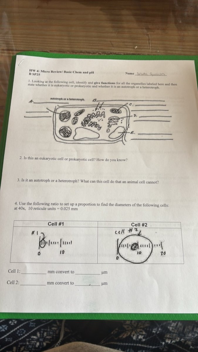 HW 4: Micro Review/ Basic Chem and pH B SP25 Looking at the following ce..