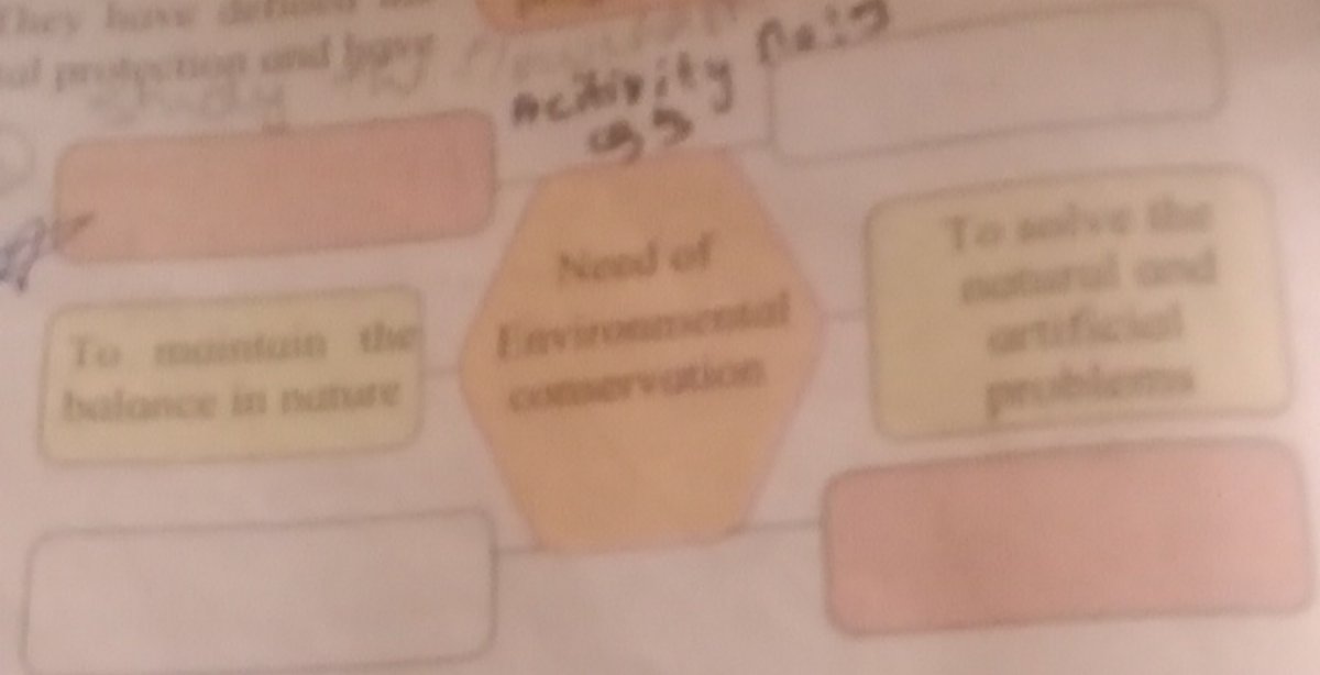The image shows a mind map with "Need of Environmental Conservation" at t..