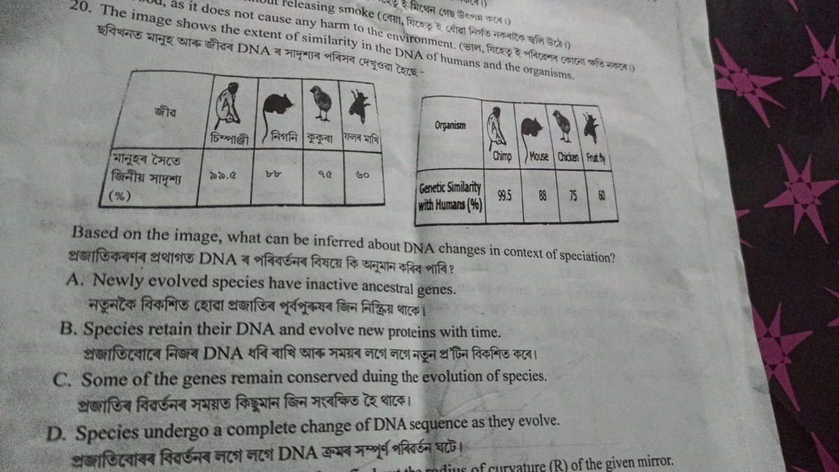 Based on the image, what can be inferred about DNA changes in context of